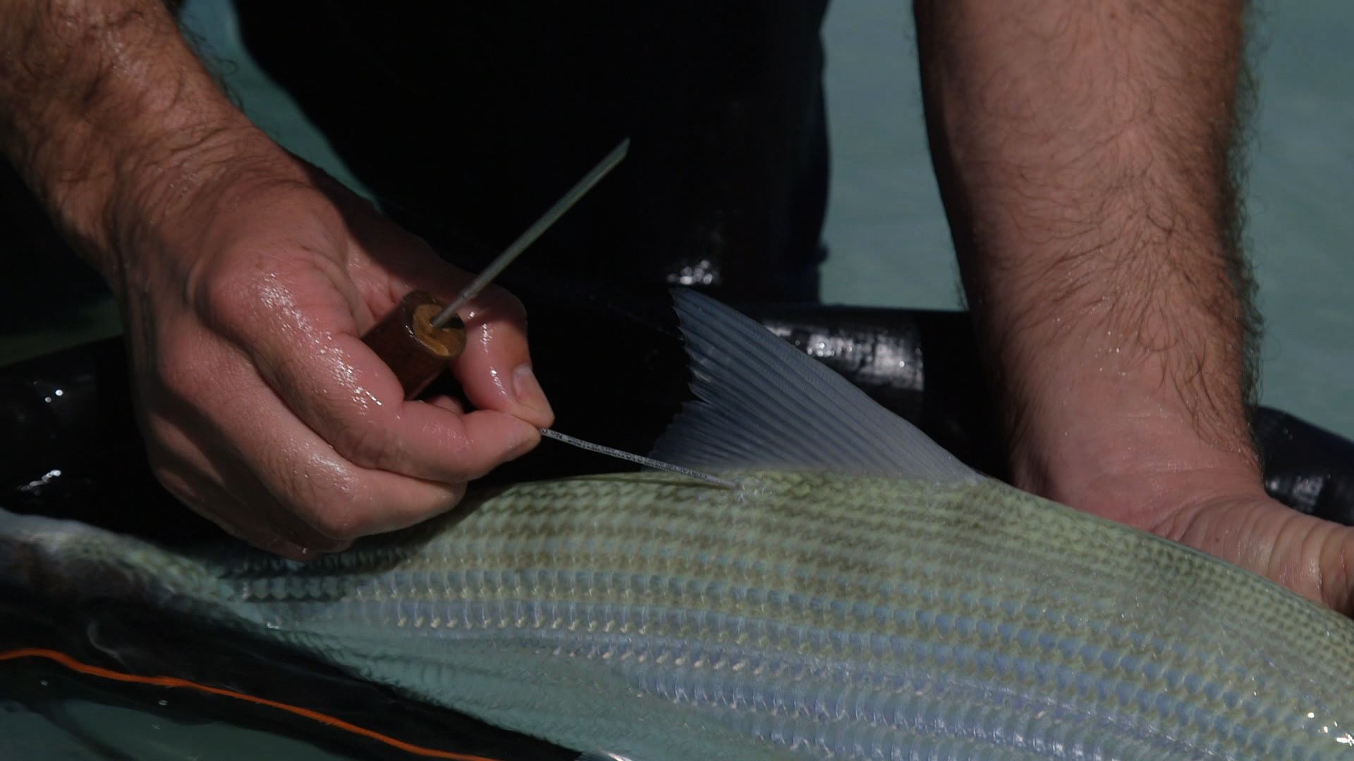 F3T 2019 Behind The Lens: Kio Kio - Flylords Mag