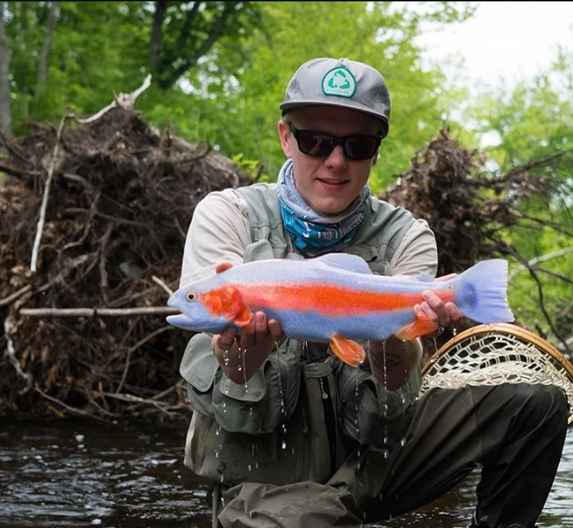Why Are These Trout Turning Blue? - Flylords Mag