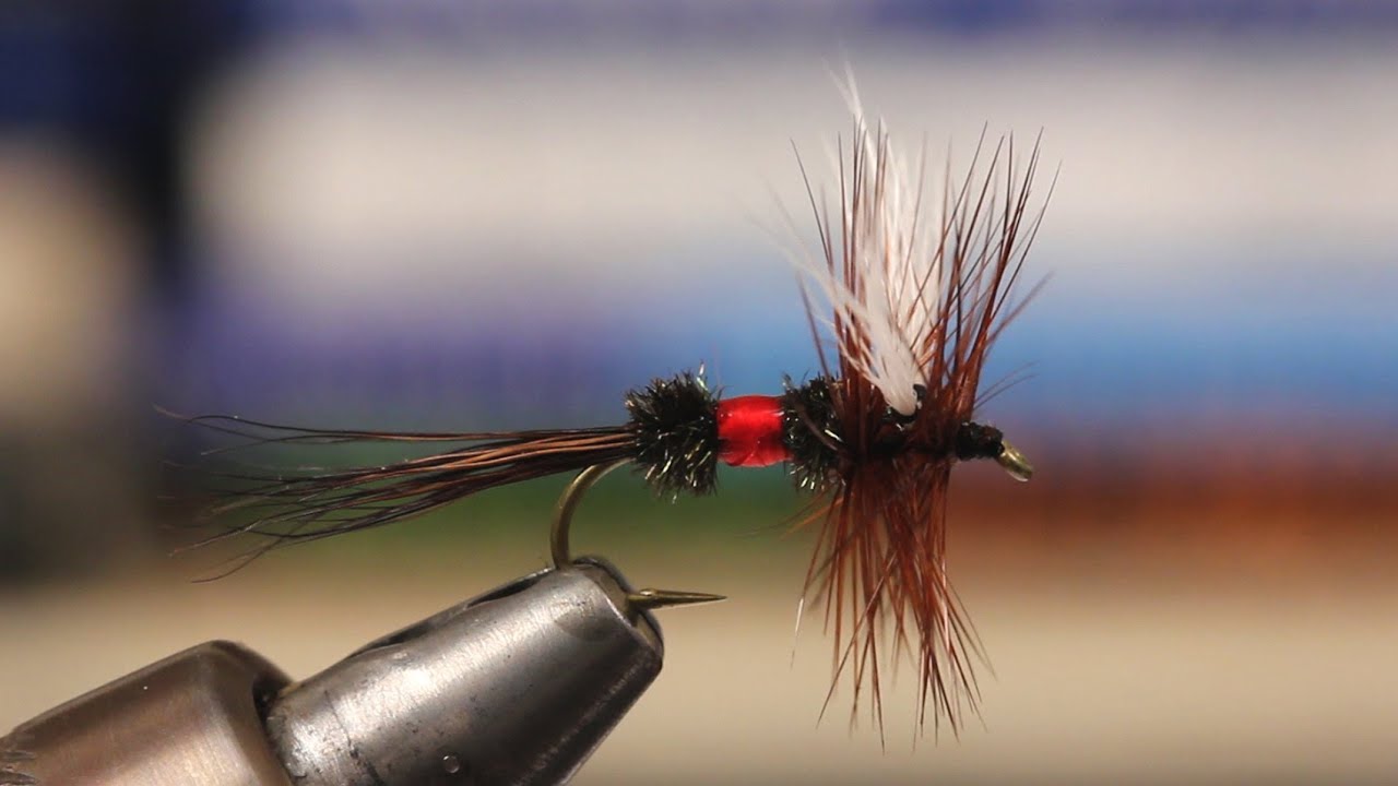 How To Tie: The Royal Wulff - Flylords Mag