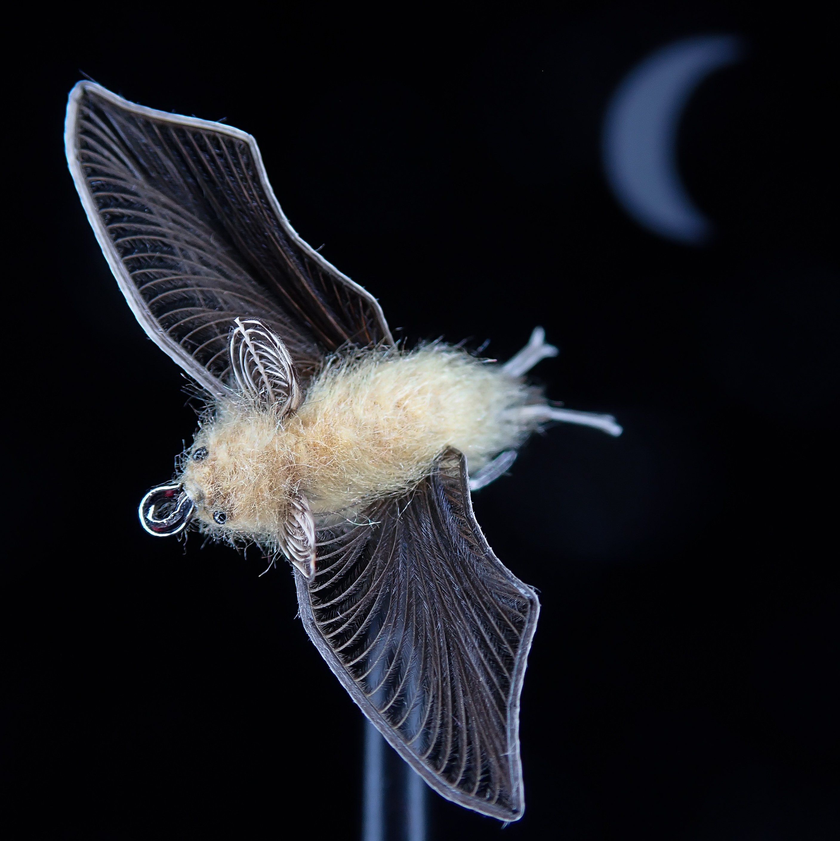 Fly Tyer Creates Insane Bat Fly Flylords Mag