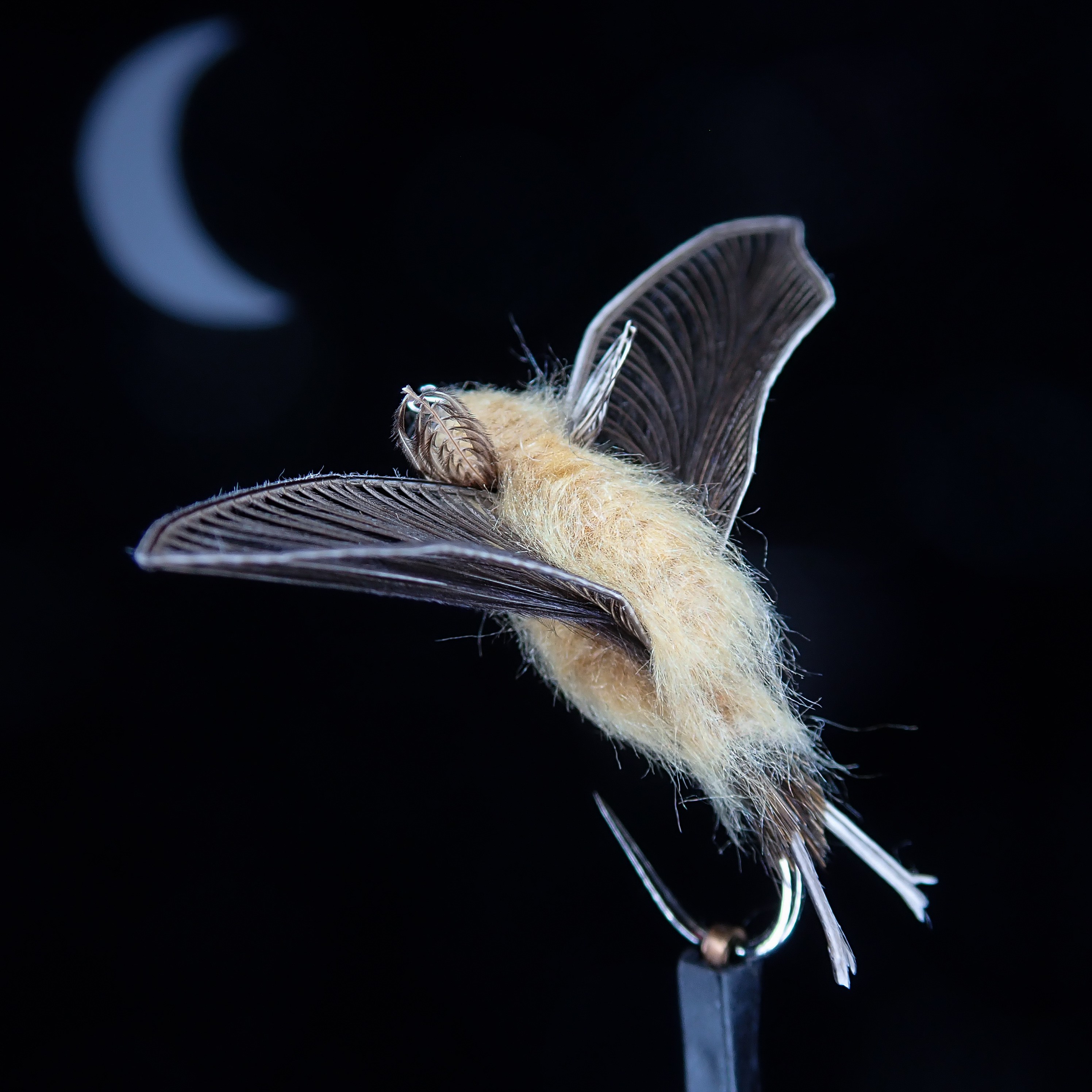 Fly Tyer Creates Insane Bat Fly Flylords Mag