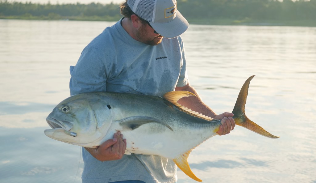 Video of the Week: Union Jacks - Flylords Mag