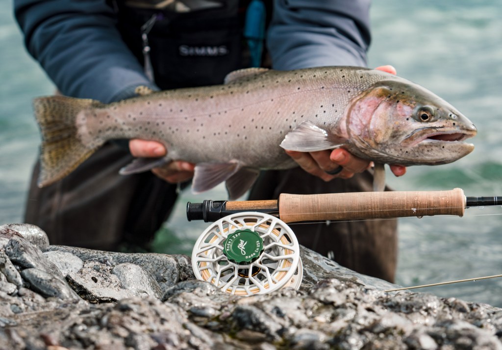 5,000 Lahontan Cutthroat Trout Stocked in Lake Tahoe - Flylords Mag