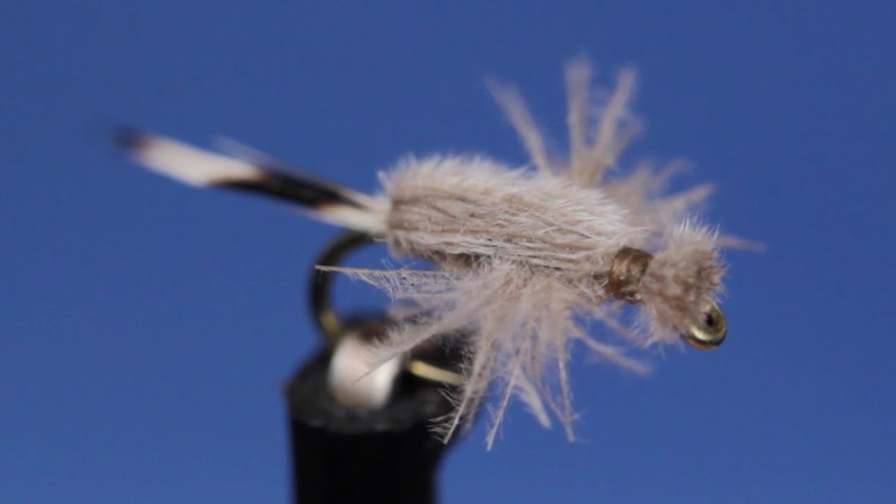 How to Tie: The CDC Transitional Midge - Flylords Mag