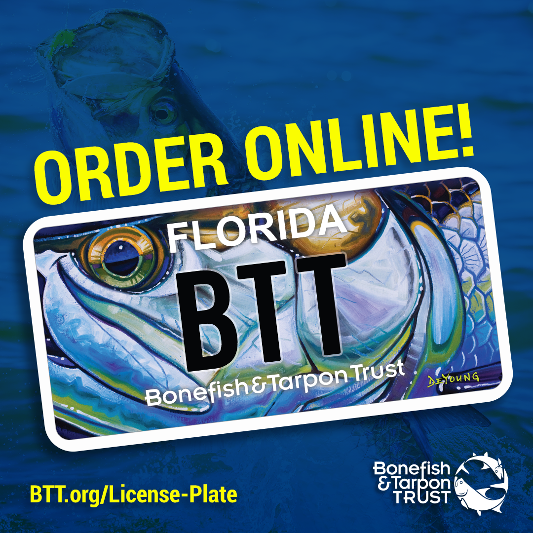 BTT and Derek DeYoung License Plate Collaboration Supports Saltwater ...