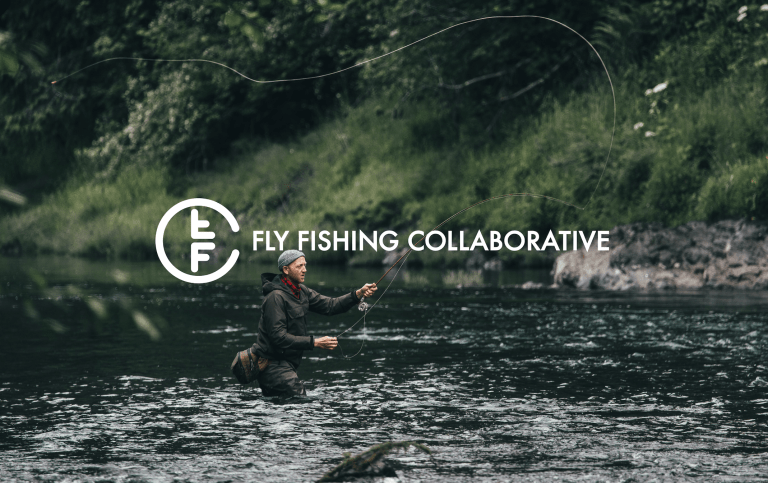 Organization of the Month: Fly Fishing Collaborative - Flylords Mag