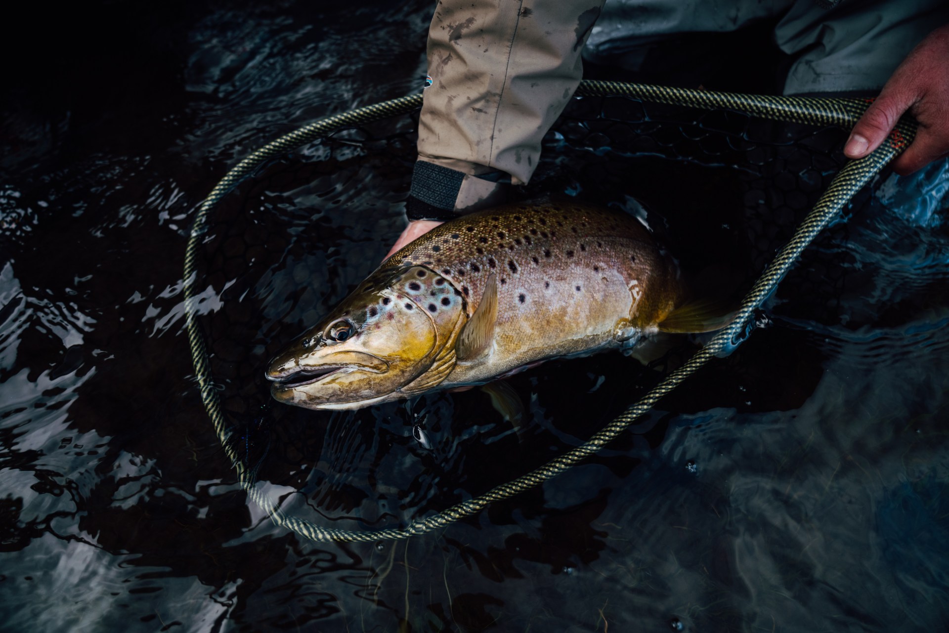 Lodge Spotlight: Chile Trout - Flylords Mag