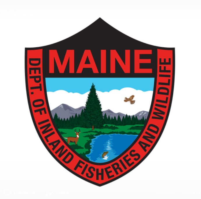 Maine Gov. Opens Inland Fisheries, Waives Fishing License Requirements ...