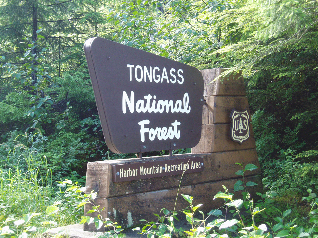 Roadless Rule Update - Flylords Mag