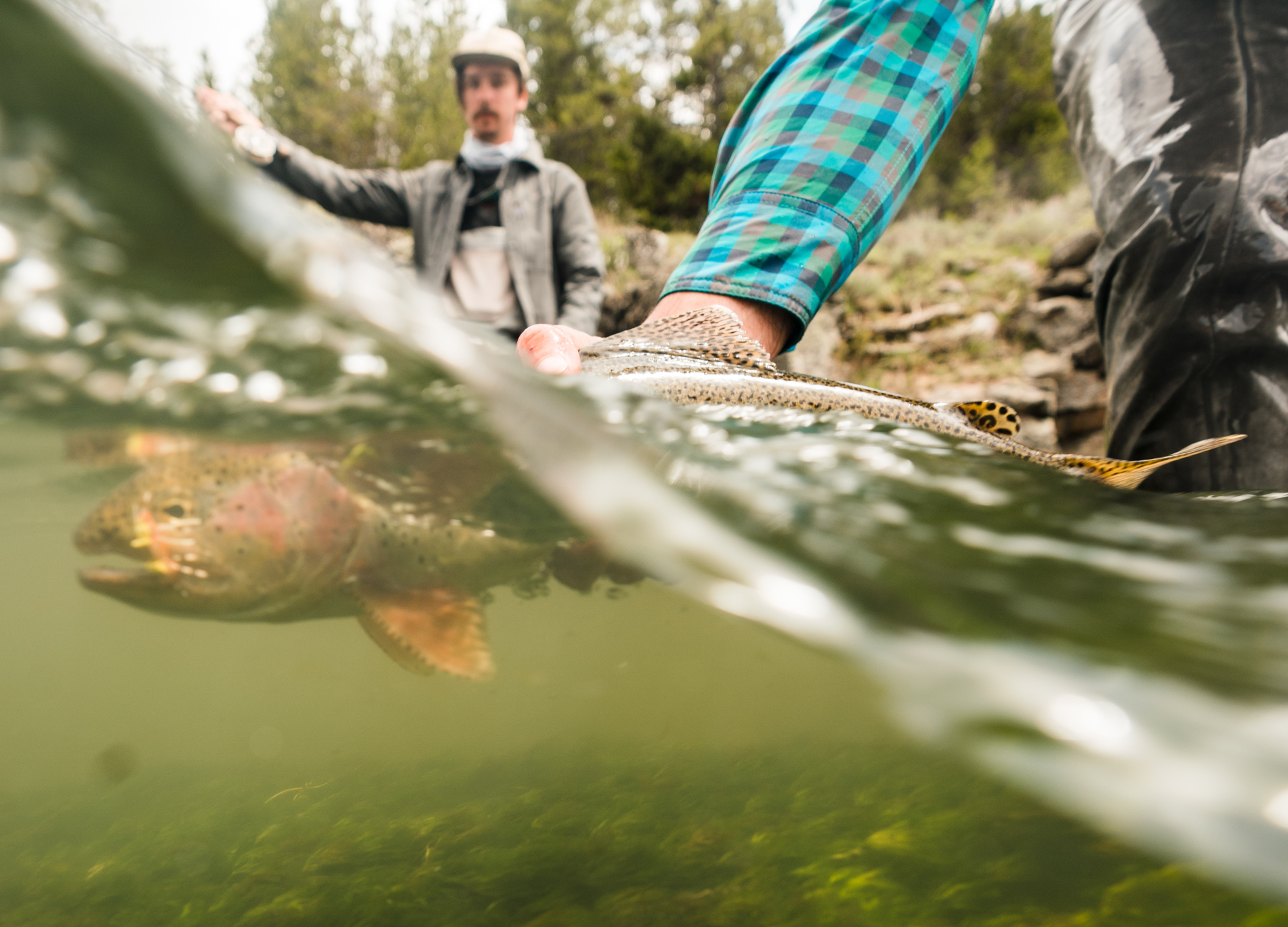 Fishing Etiquette: Trout Handling Best Practices - Flylords Mag