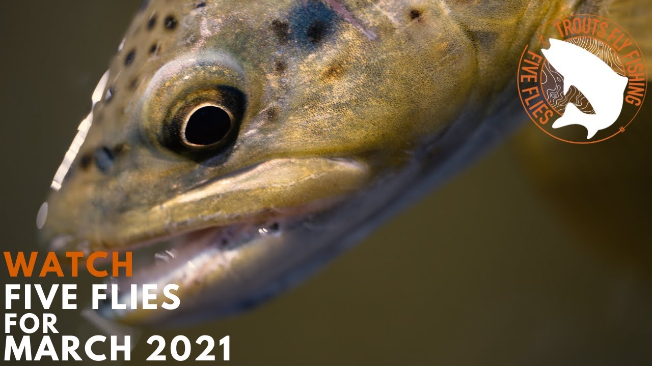 5 Flies for the Month of March/Early Spring - Flylords Mag