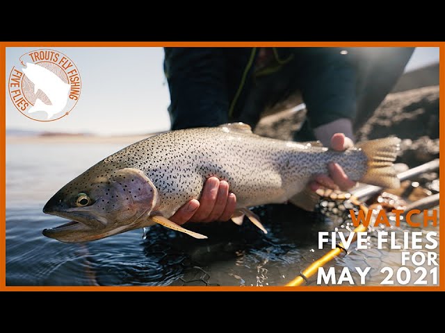 5 Flies for May - Flylords Mag