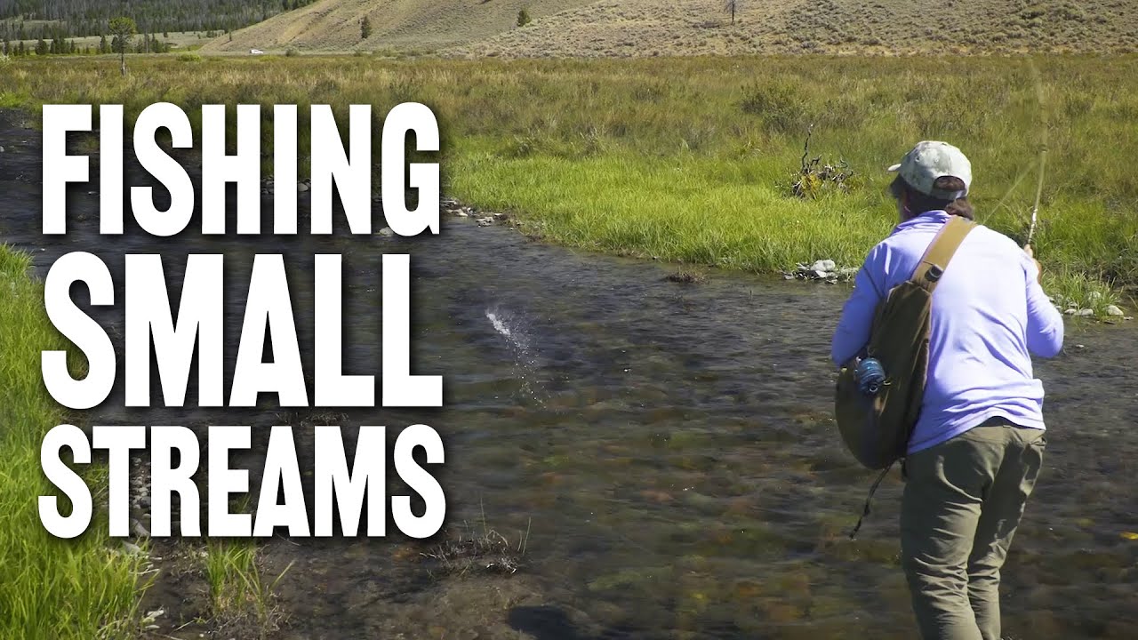 Fishing Tips: How To Fish Small Streams - Flylords Mag