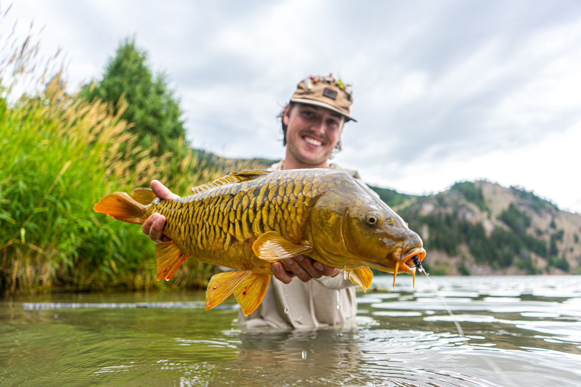 “Marp, Marp, Marp”: A Carp Story - Flylords Mag