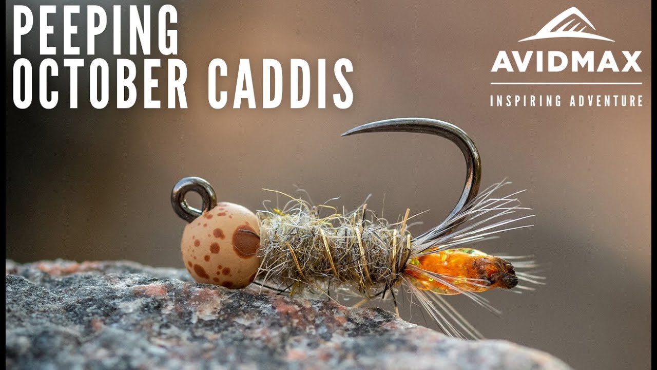 How to Tie: The Peeping October Caddis - Flylords Mag
