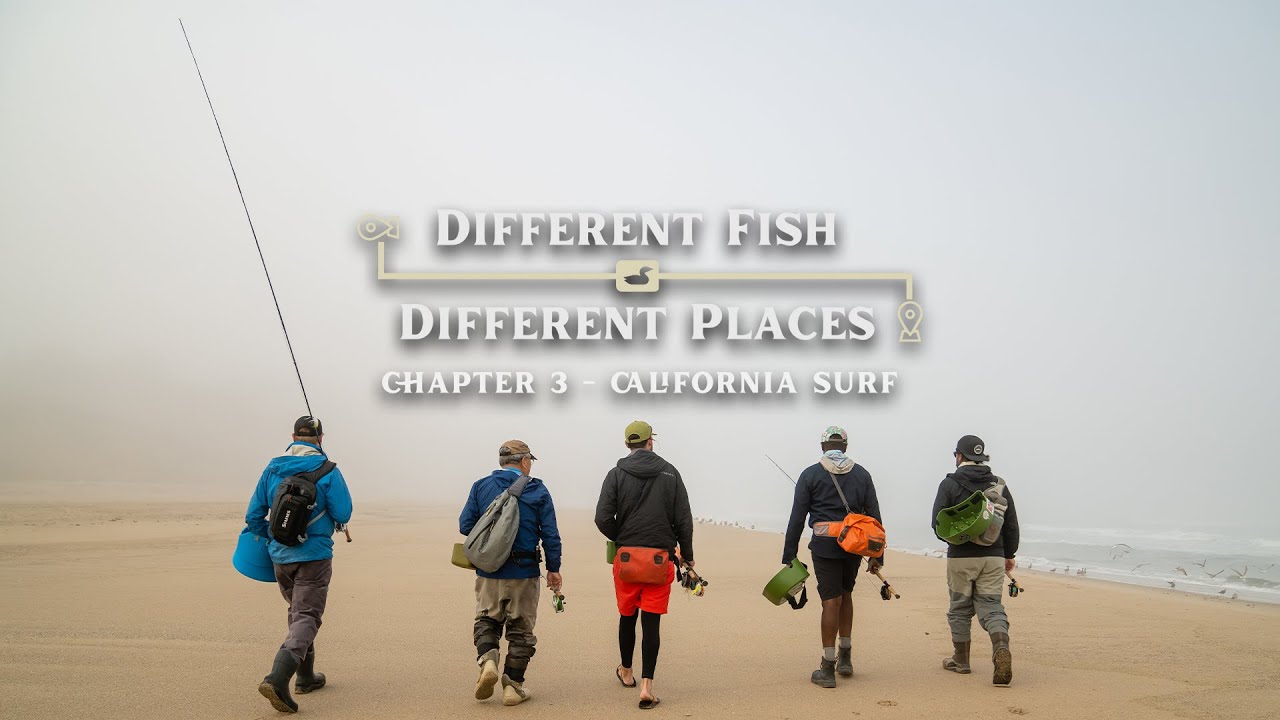 Different Fish, Different Places: California Surf - Flylords Mag