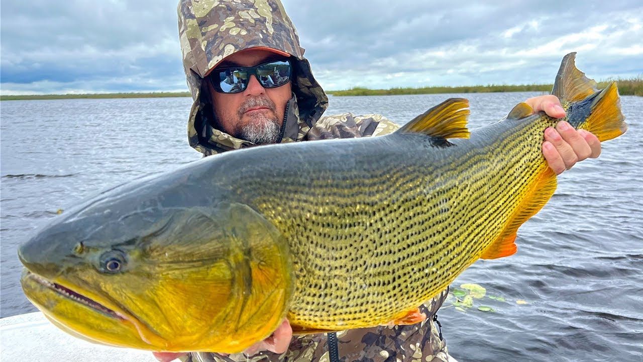 Video of the Week: Ibera the Golden Marsh with Fly Fish Food - Flylords Mag