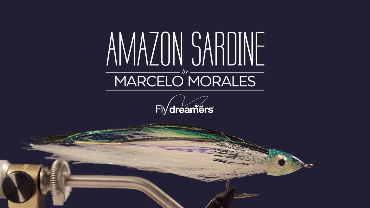 How to Tie: The Amazon Sardine - Flylords Mag