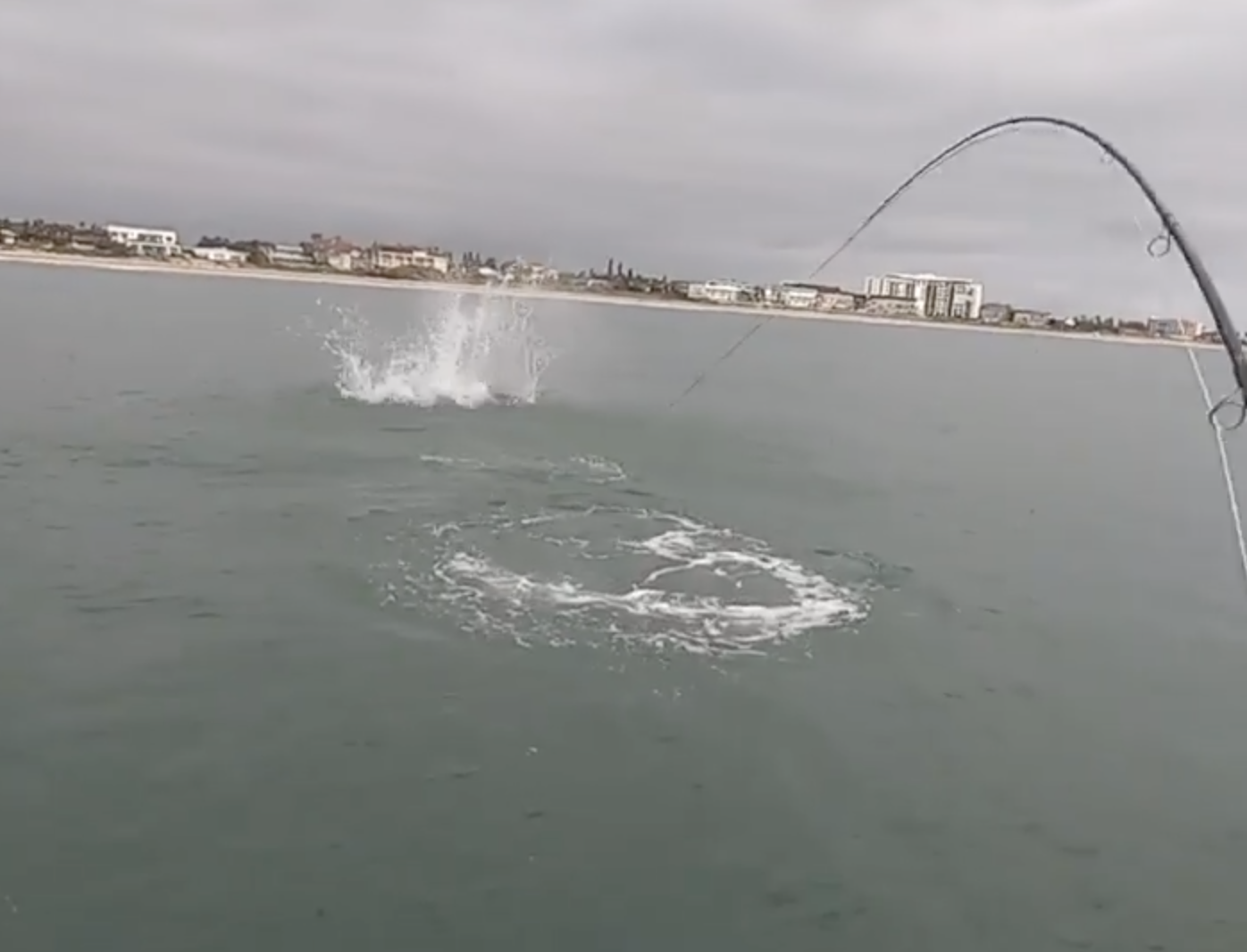 Reel of the Week: Stand Up Paddle & Tarpon Fishing - Flylords Mag