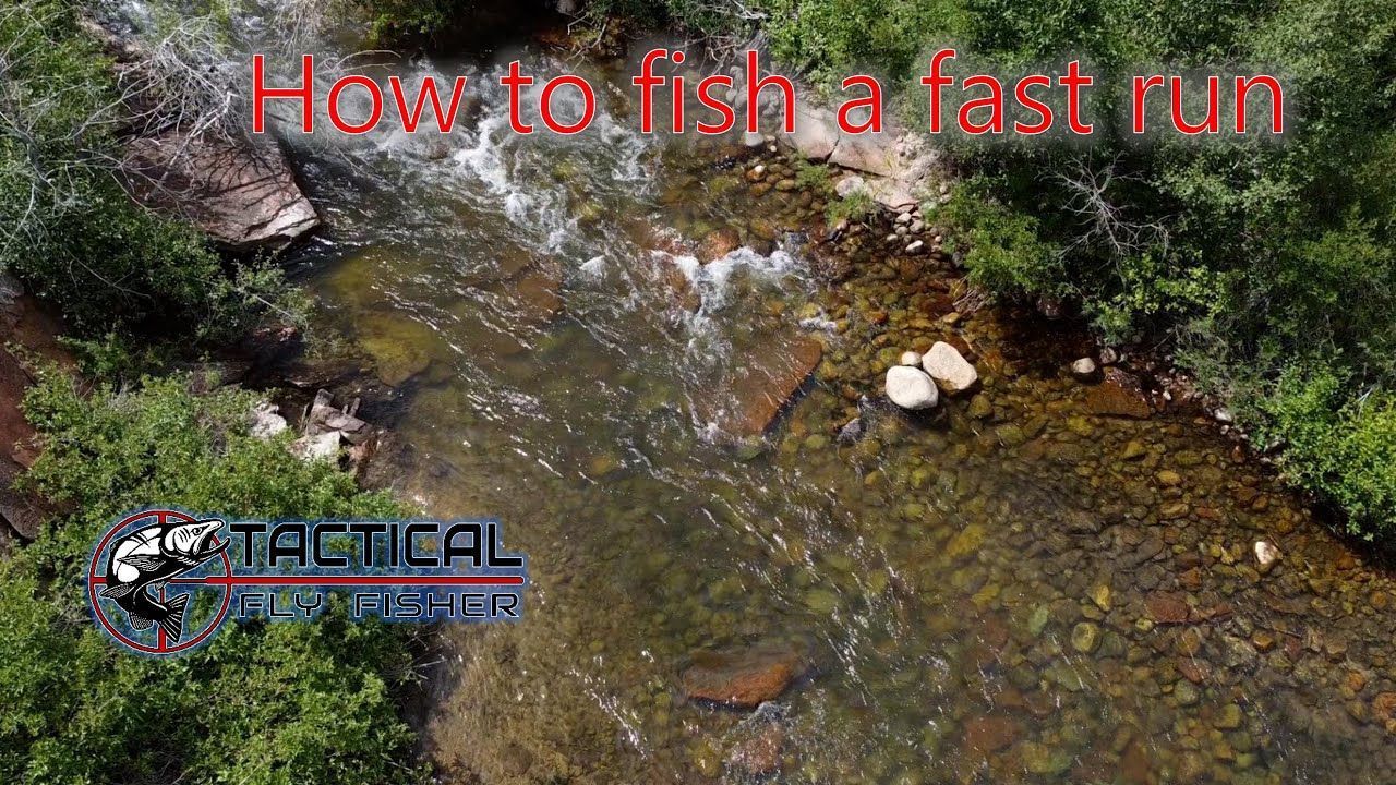 Fishing Tips: How to Fish a Fast Run - Flylords Mag