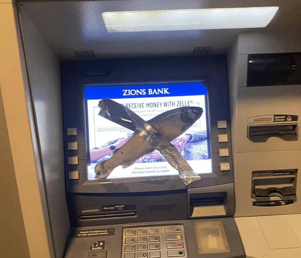 Teen Accused of Taping Fish to ATMs in Utah Faces Charges - Flylords Mag