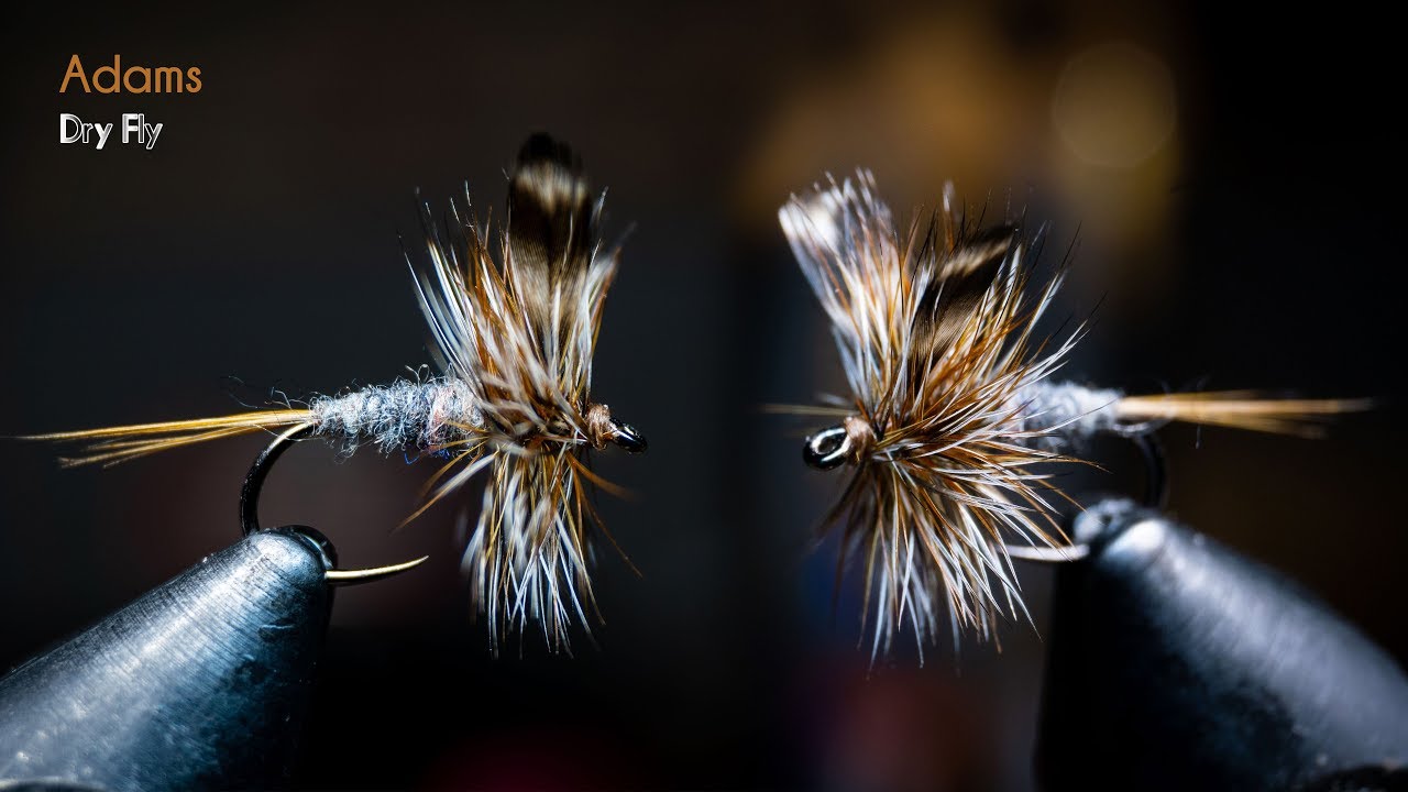 How to Tie: The Adams Dry Fly - Flylords Mag