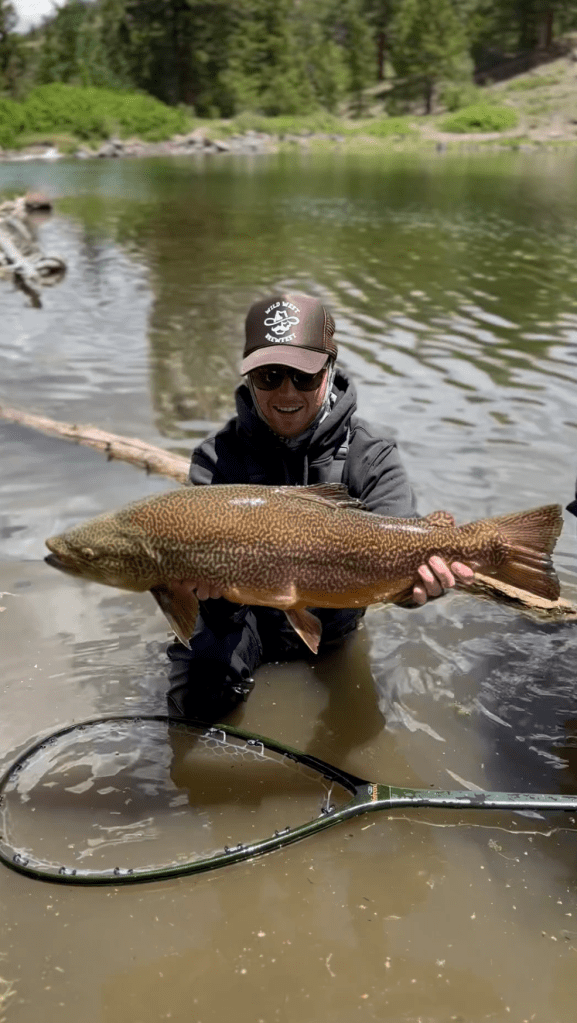 Angler Story of the Week: 32 Inch Tiger Trout - Flylords Mag