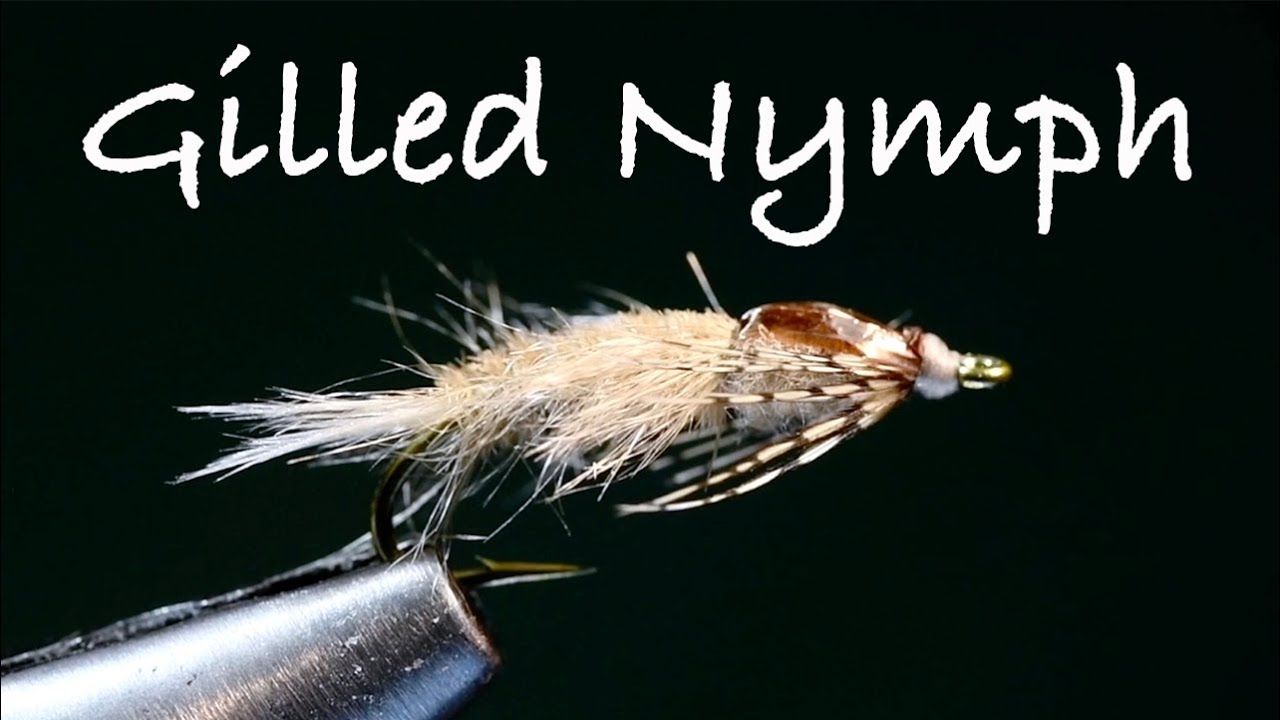 How to Tie: The Gilled Nymph - Flylords Mag