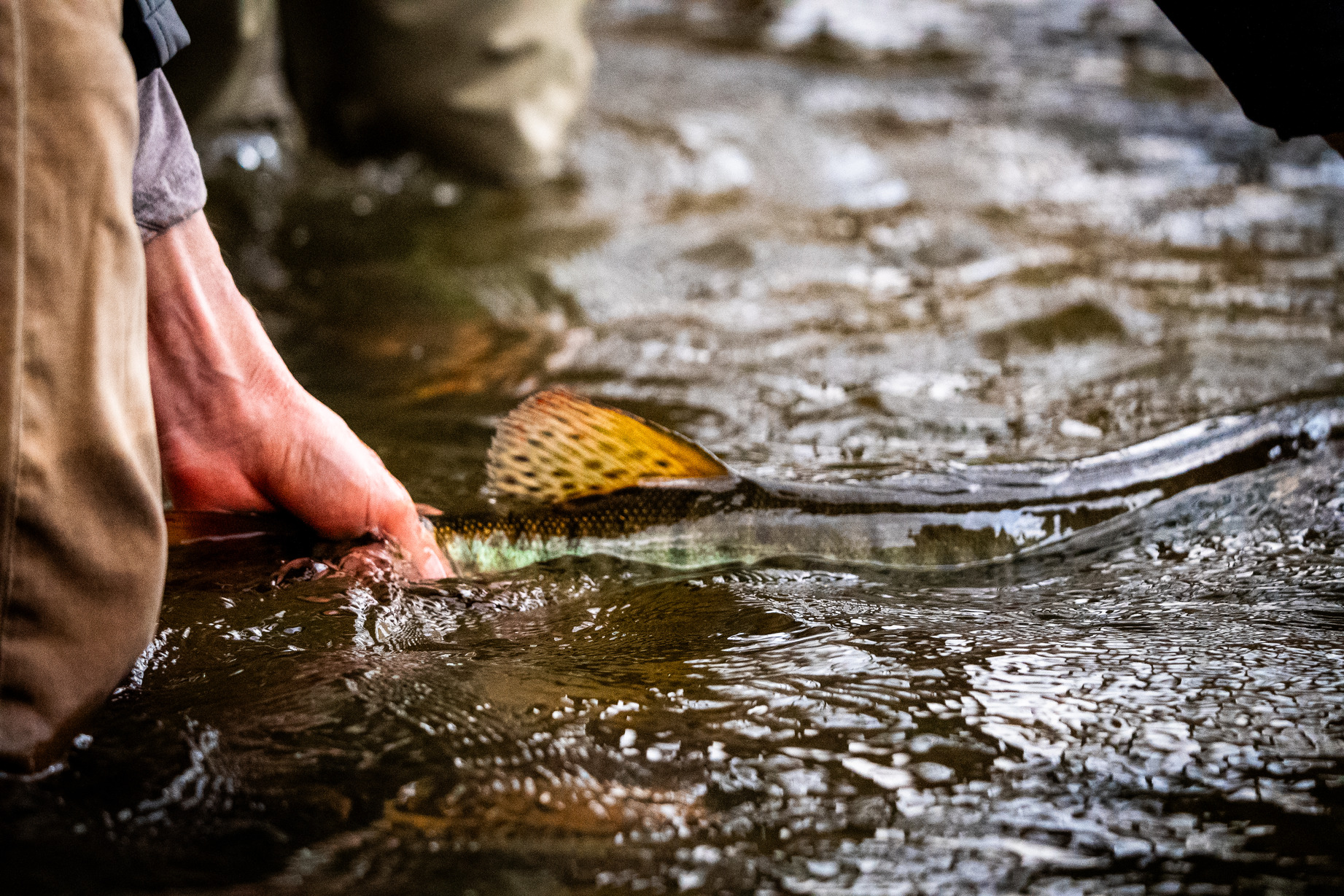 2025 F3T Behind The Lens: Dan’s Pain 2 - Flylords Mag