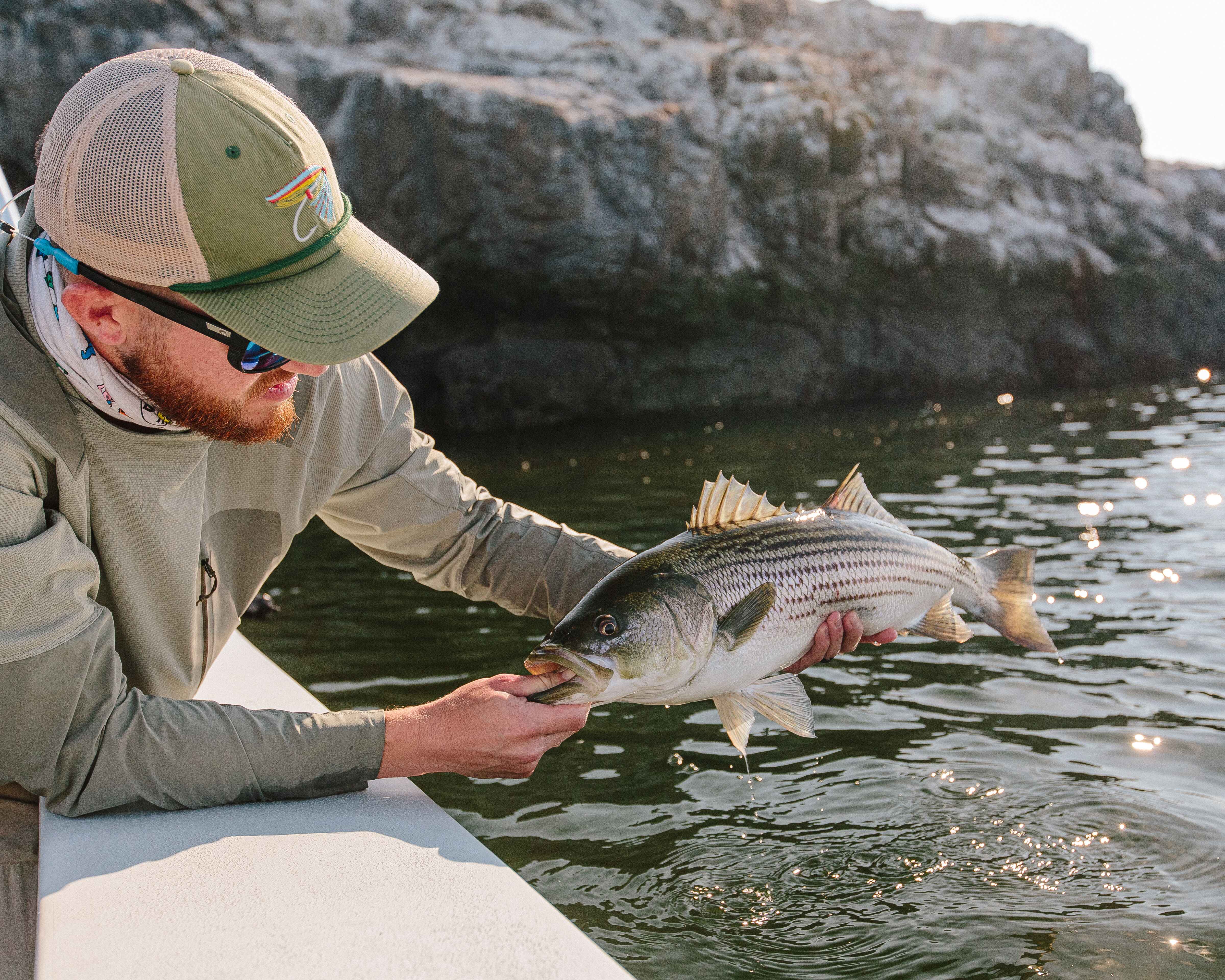 Bass-pé: Exploring the Last Striped Bass Stronghold in Gaspé - Flylords Mag