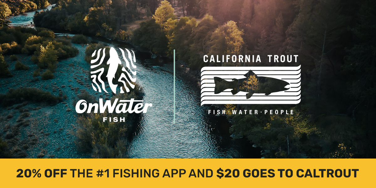 Empowering Anglers: onWater Fish and California Trout Forge Partnership ...