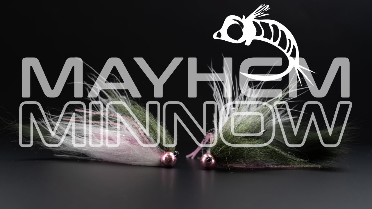 How to Tie: The Mayhem Minnow - Flylords Mag