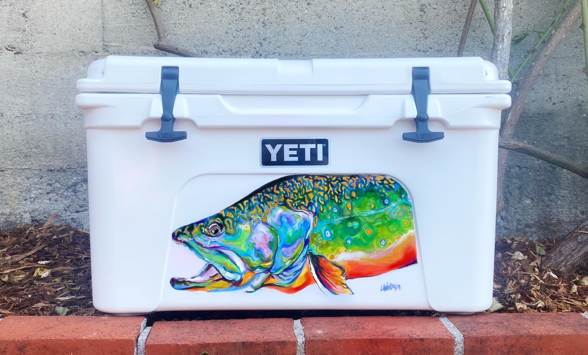 Best Coolers for Fly Fishing 2025 - Flylords Mag
