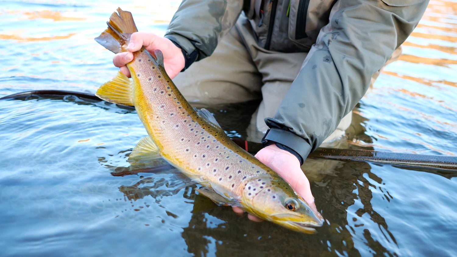 15 Best Flies for Winter Trout - Flylords Mag
