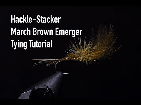 How to Tie: A March Brown Hackle Stacker Emerger - Flylords Mag