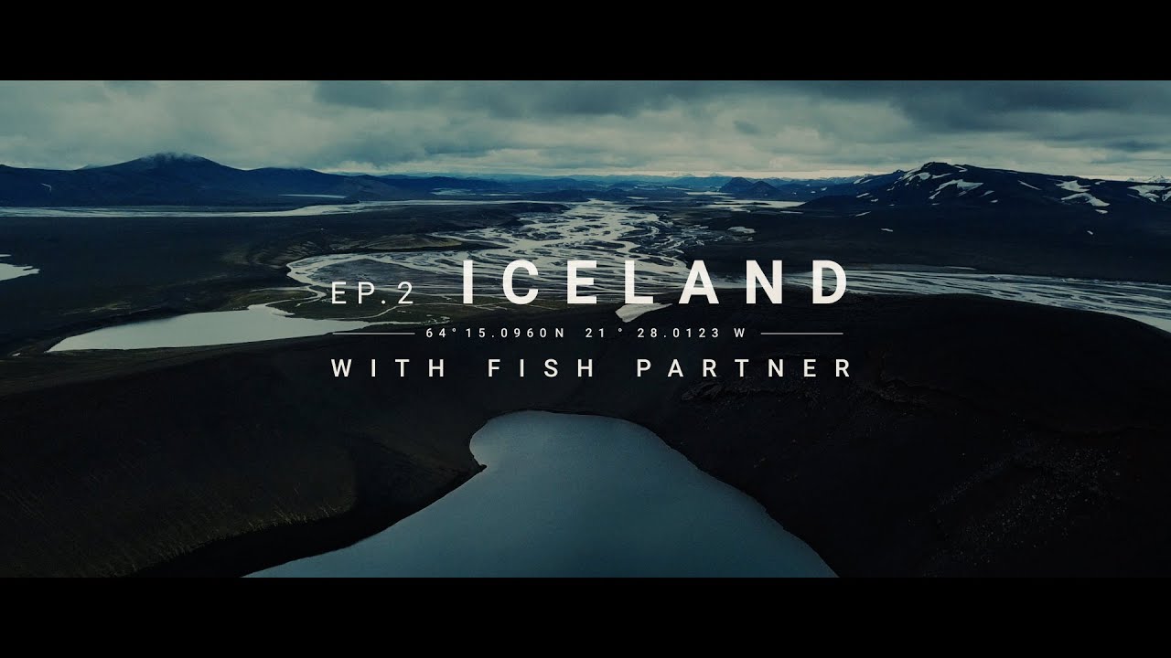 Films - Flylords Mag