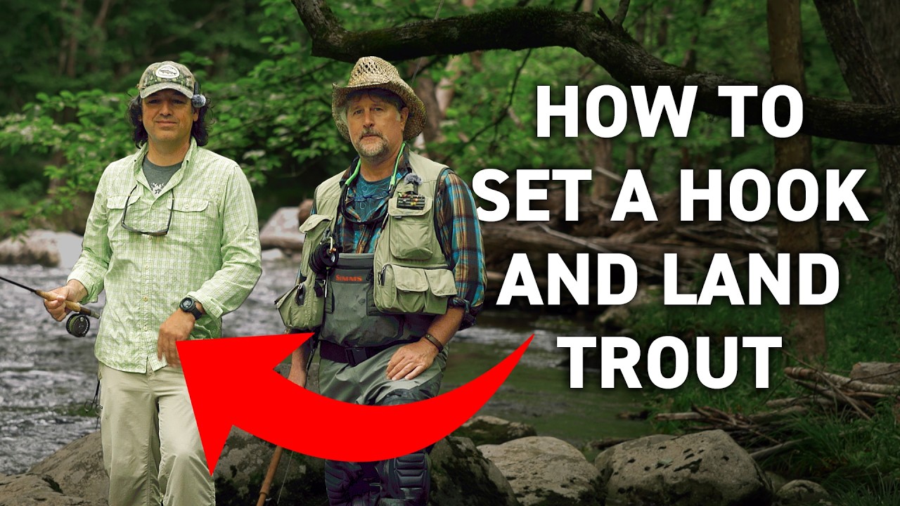 Fishing Tips: How to Set the Hook on a Trout - Flylords Mag