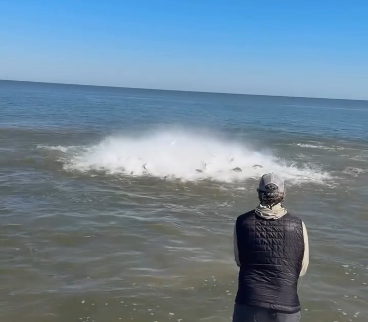 Reel of the Week: Finding the Most Aggressive School of Redfish ...