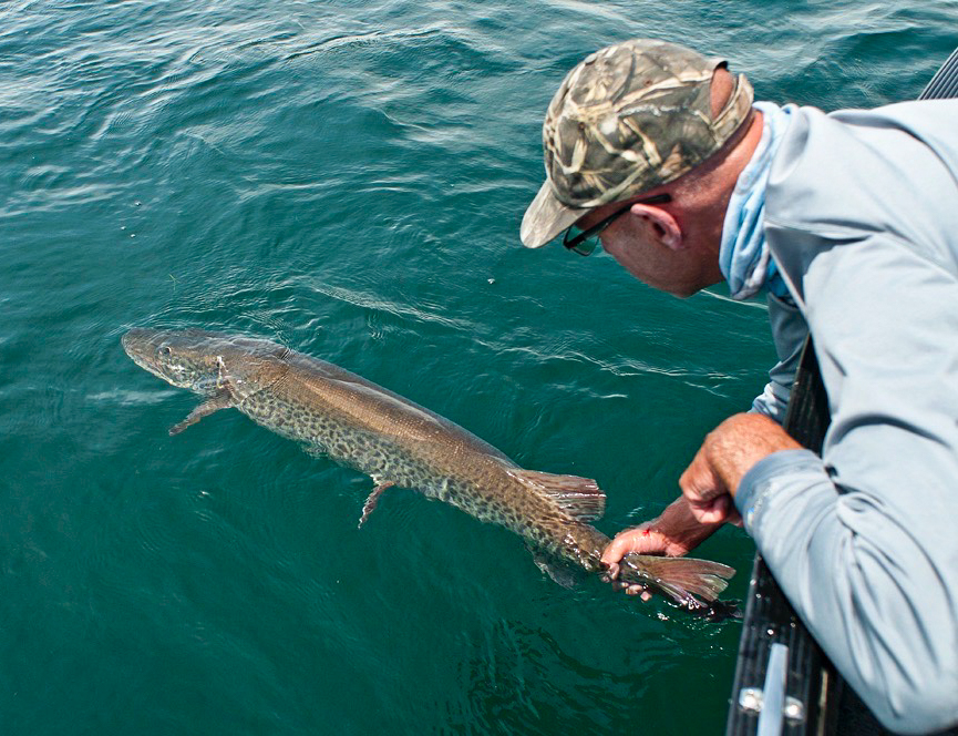 5 Tips for Better Musky Fly Fishing - Flylords Mag