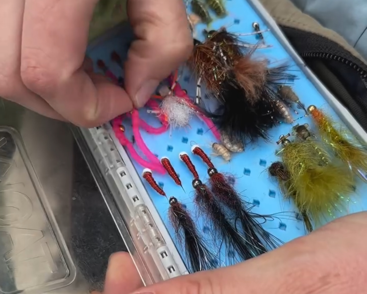 Reel of the Week: Dry Fly Disguised as Squirmy Wormy - Flylords Mag