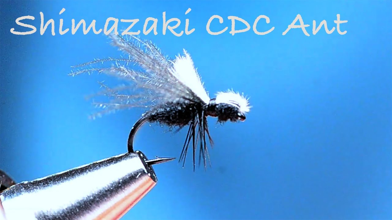 How to Tie: The Shimazaki CDC Ant - Flylords Mag