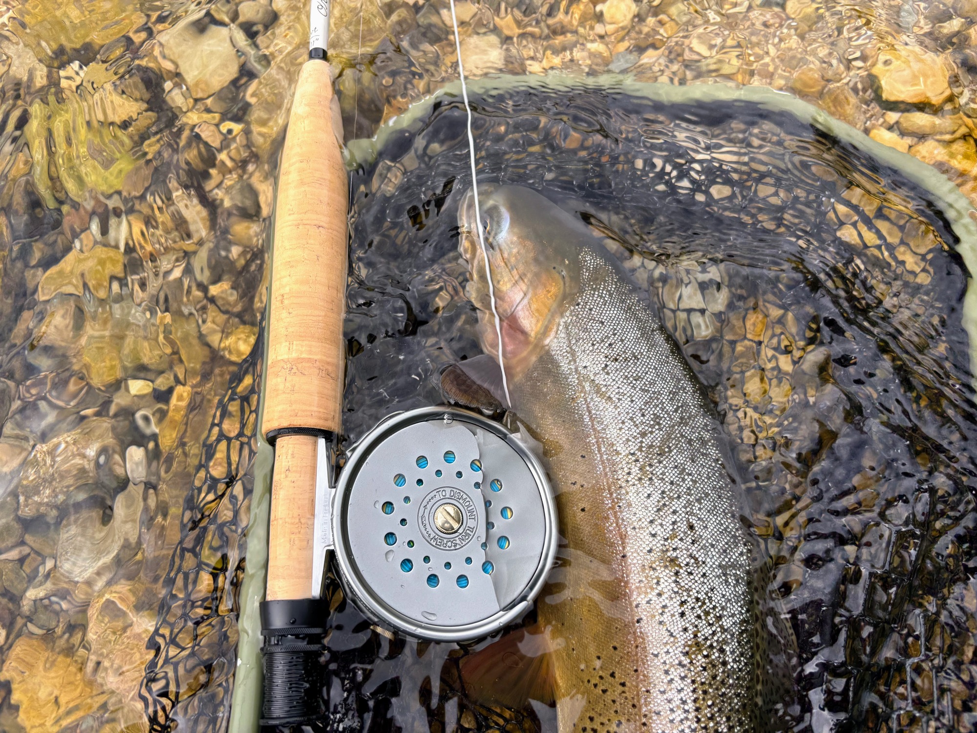 The Best Click-and-Pawl Reels of 2025 - Flylords Mag