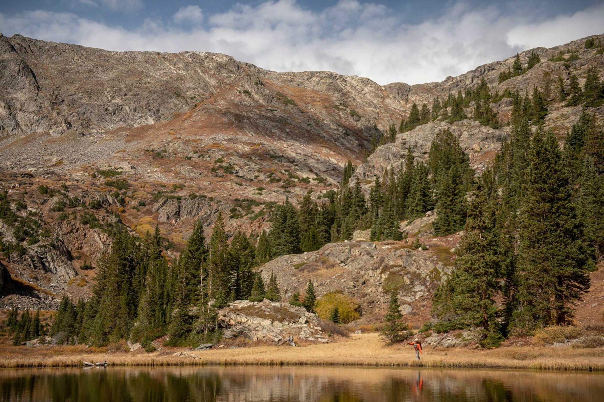 Roadless Rule Comments Close Today-Protect Wild Places Now! - Flylords Mag
