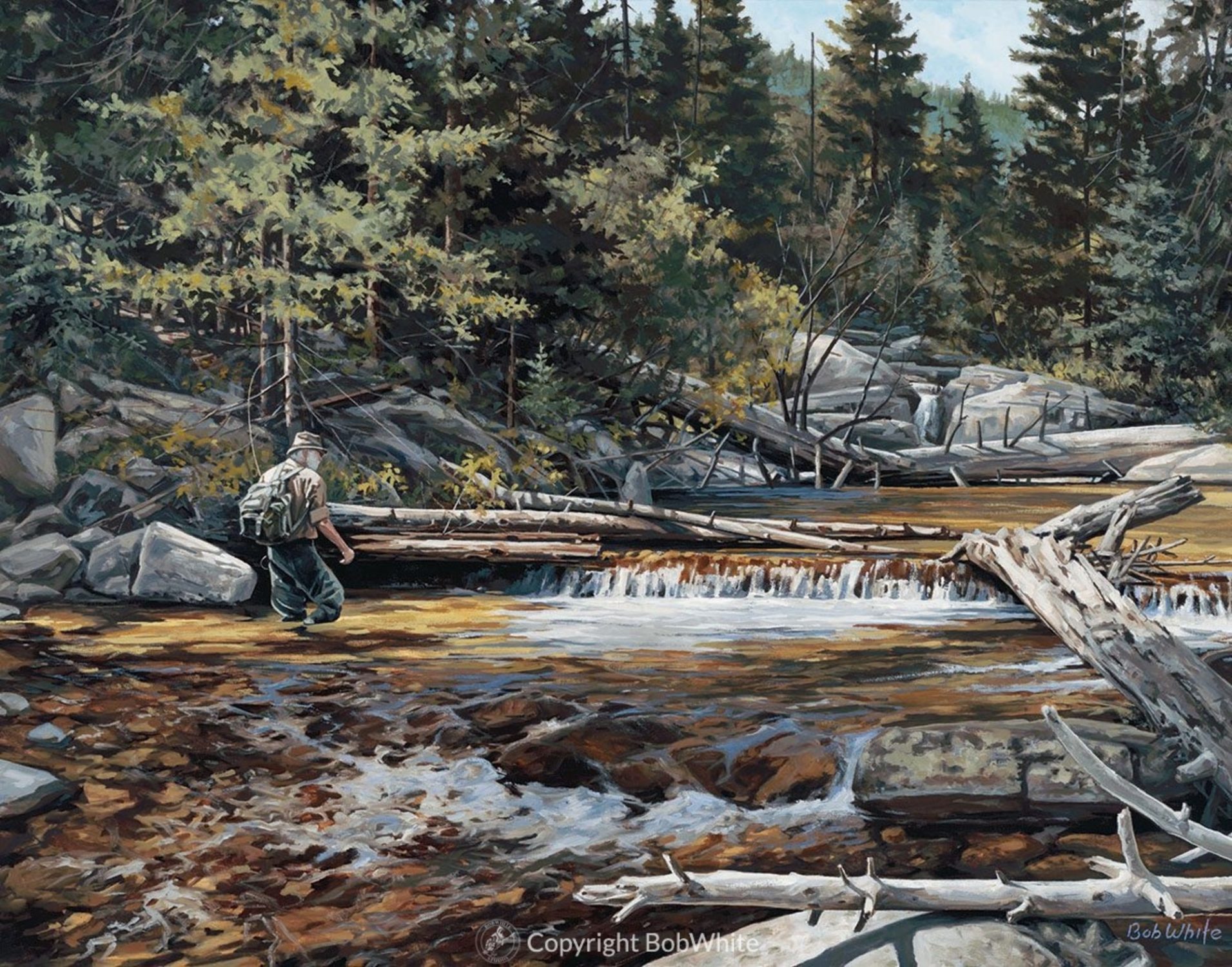 Artist Spotlight: Bob White - Flylords Mag