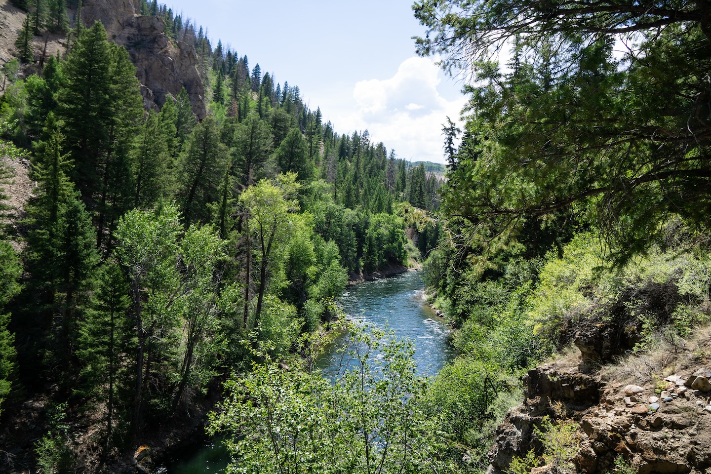 What's Wrong with Colorado's Blue River: An Opinion Piece - Flylords Mag