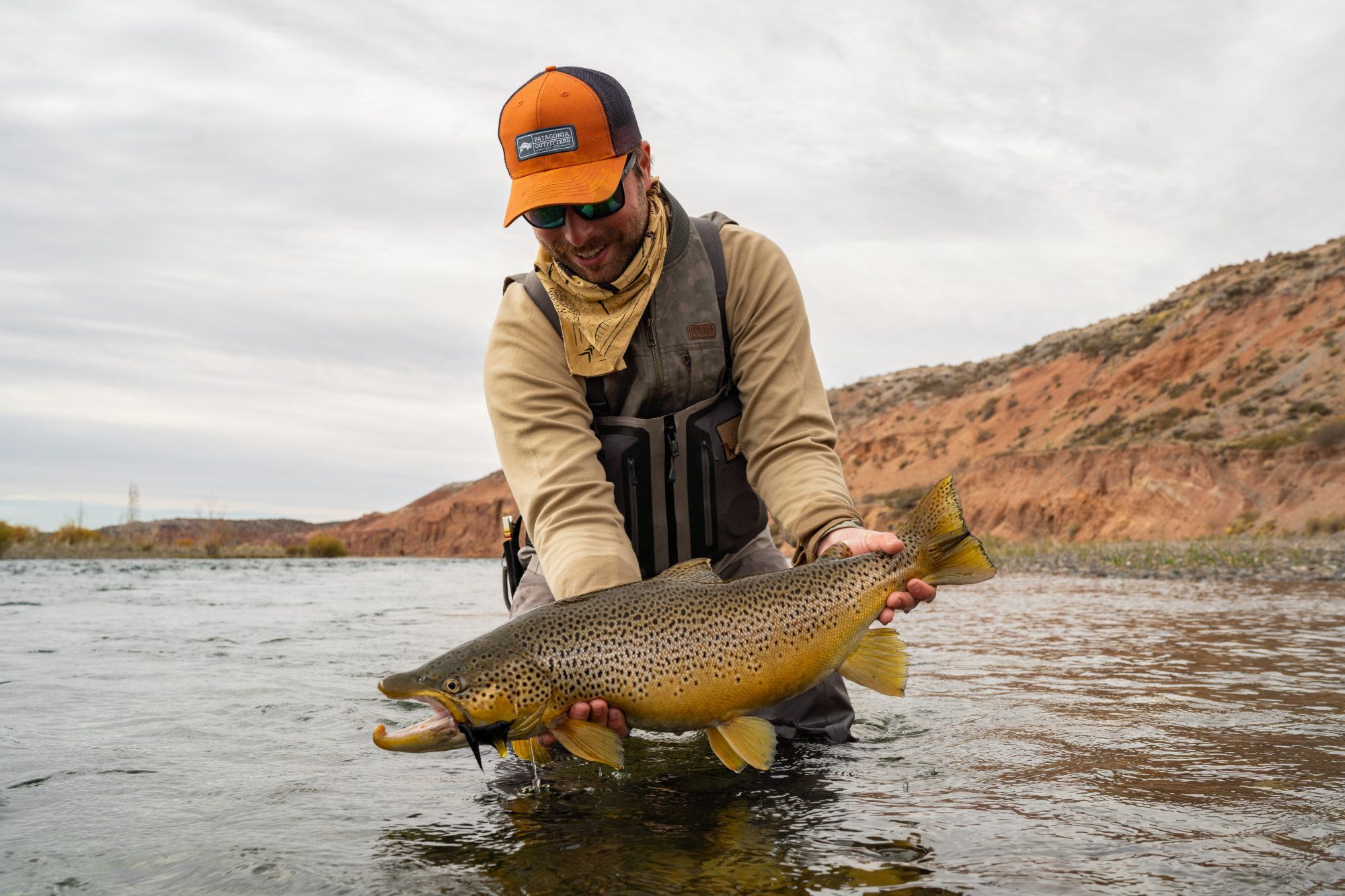 Why the Limay River Grows the Biggest Trout in the World - Flylords Mag