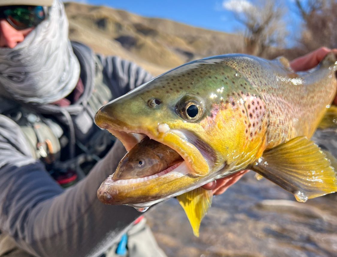Angler Story of the Week: Getting a Two for One - Flylords Mag